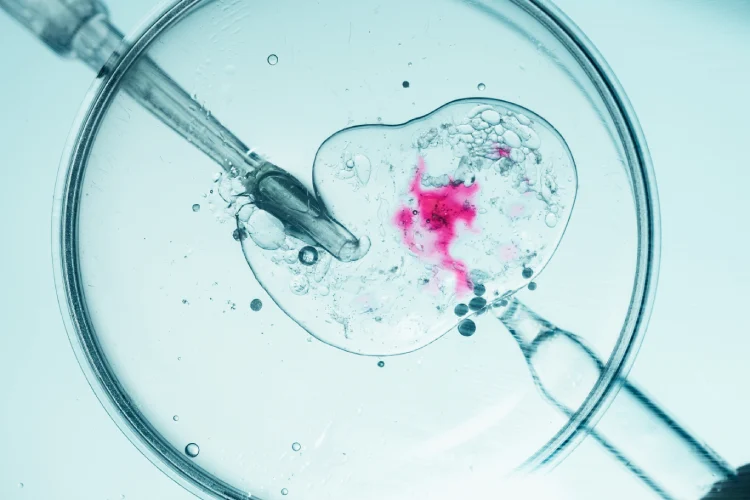 Three-Parent IVF Can Prevent Mitochondrial Diseases