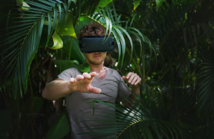 Virtual Reality Nature Scenes Ease Chronic Pain, Study Finds